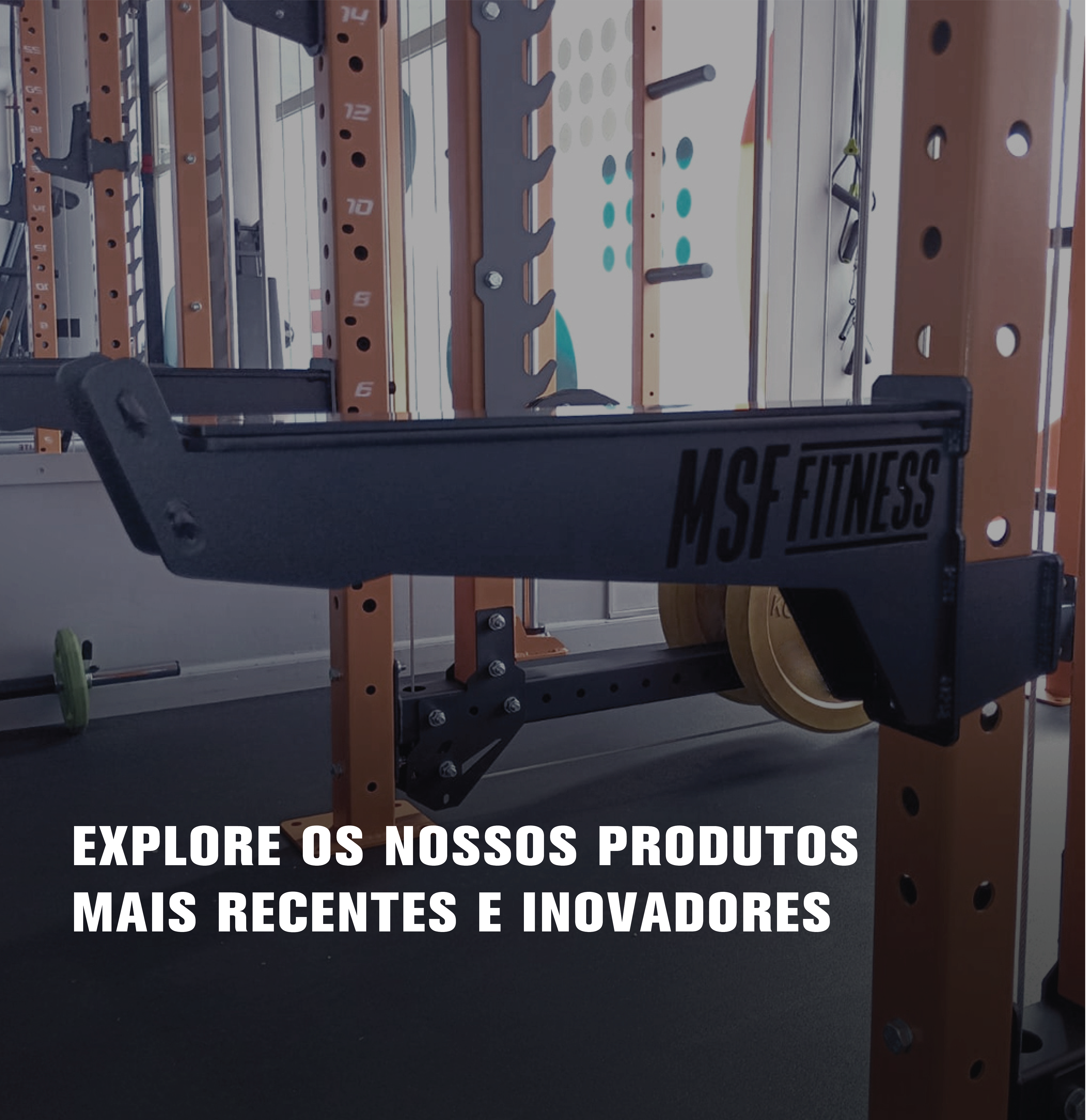 NOVIDADES – MSF fitness